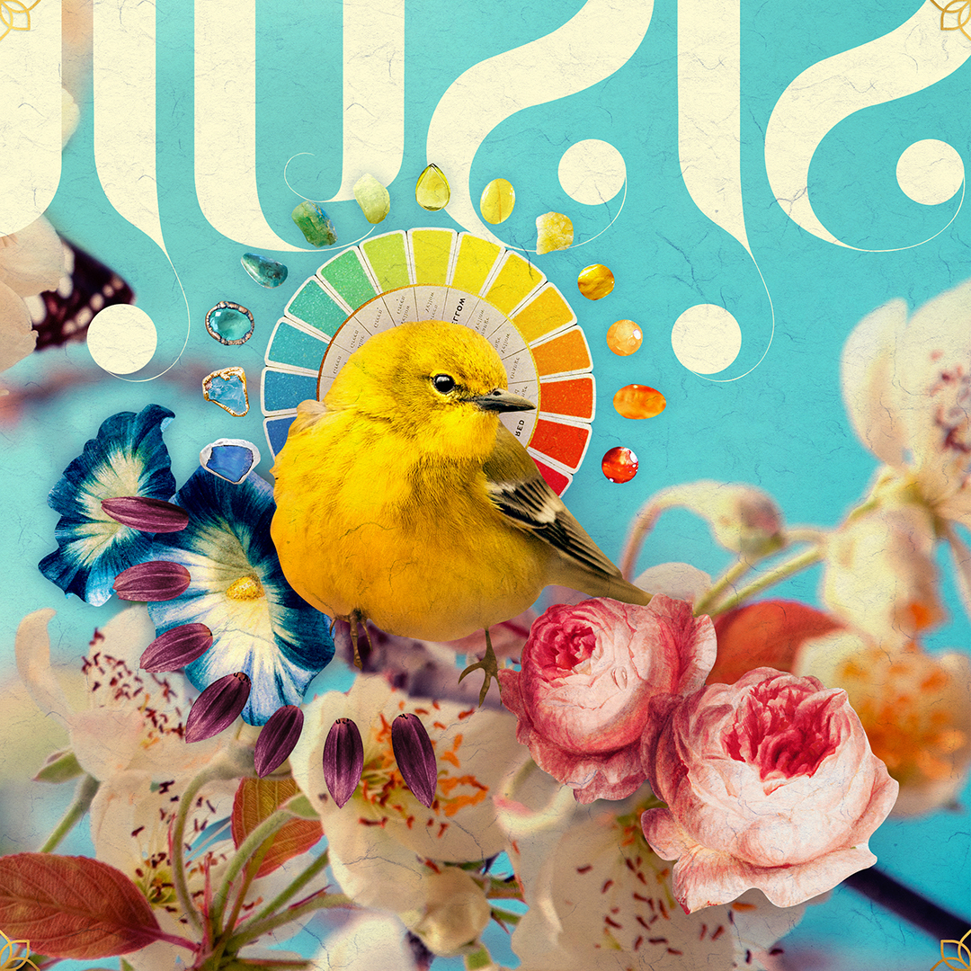 jenny lloyd: pictures