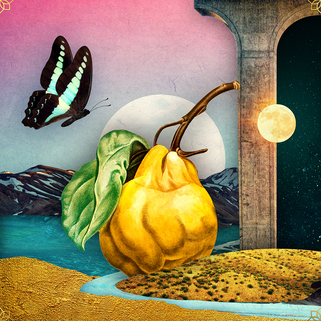 jenny lloyd: pictures