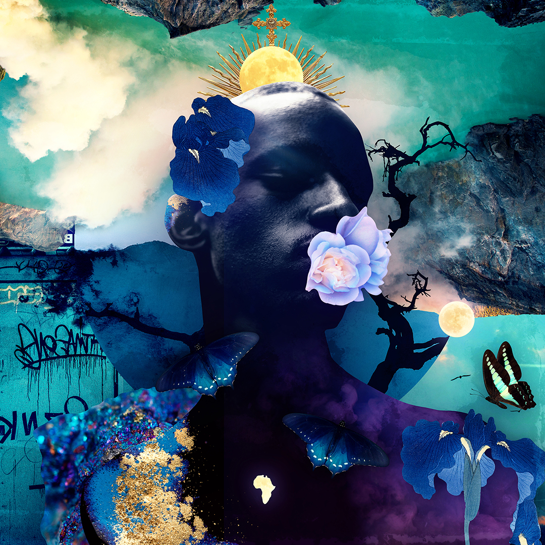 jenny lloyd: pictures